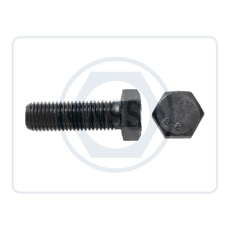 Hex Head Set Screws in South Africa | NSS Fasteners